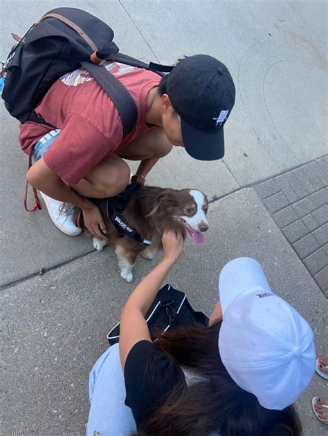 Пин от пользователя Megan на доске