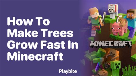 How To Make Trees Grow Fast In Minecraft Playbite How To Make Trees Grow Fast In Minecraft Playbite