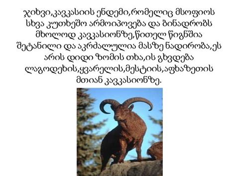 Gadashenebis Piras Myofi Cxovelebi