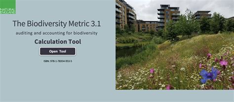 How To Undertake A Biodiversity Metric Calculation The Workings Of