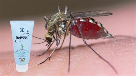 Kem Ch Ng Mu I Remos H Ng S Chanh Tu P G Pharmart Vn