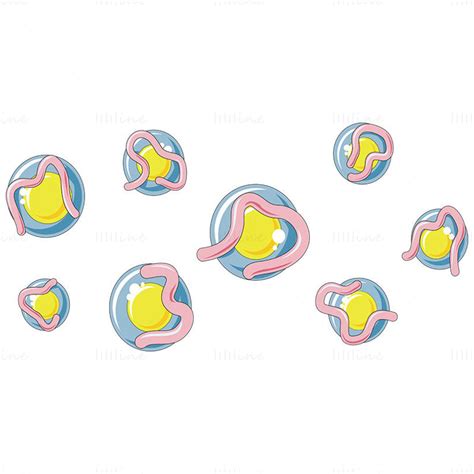 Vldl Vector Vldl Vector