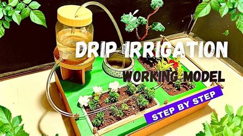 Drip Irrigation Working Model For School Dripirrigation Educational Videos Ag Science