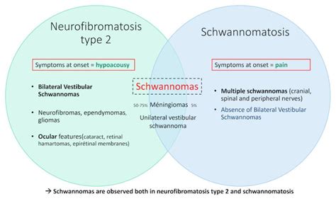 Molecular Pathophysiology Of Tumor Development In Neurofibromatosis Type 2 And Schwannomatosis