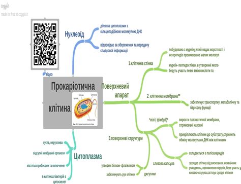 У світі хімії та біології 10 клас