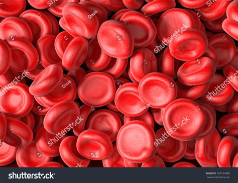 121 Eritrocitos En El Microscopio Electrónico Images Stock Photos Vectors Shutterstock