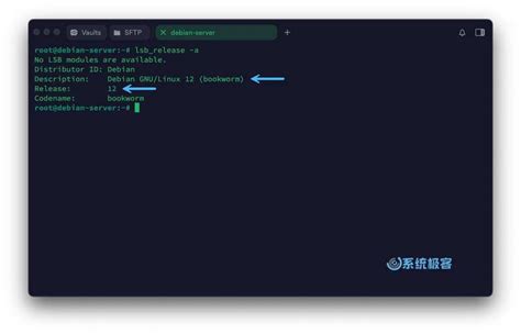 Linux系统版本号查看技巧：lsb Release命令详解与版本信息查询方法 Linux命令大全 手册
