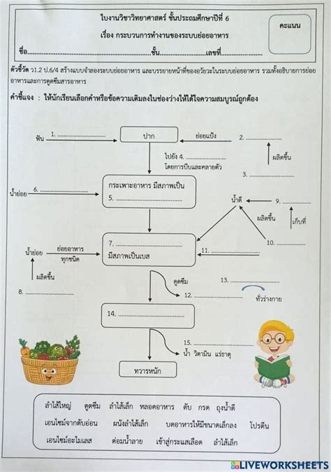 ใบงานวิทย์ ป 6 Worksheet