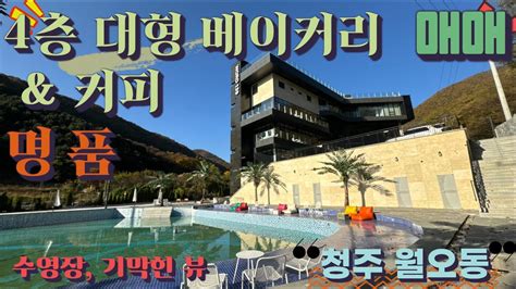 대형커피샵 베이커리and커피 4층건물 명품 인테리어 수영장까지~ 쥑입니다 매매합니다 Youtube