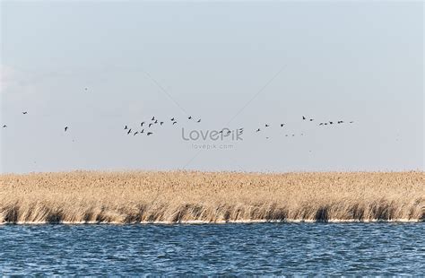 Powerpoint Wetland Landscape Images Hd Pictures For Free Vectors