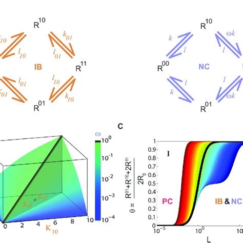 Binding Models With Two Binding Sites Independent Binding And Negative Download Scientific
