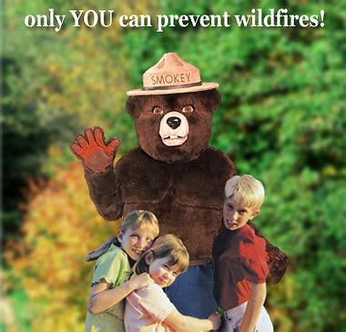 Licensed Smokey Bear Mascot Costumes By Facemakers