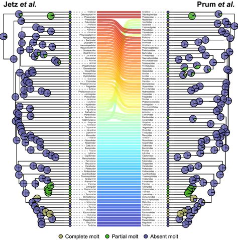 Ancestral Trait Reconstruction Analysis Continuous Time Markov Chain Download Scientific