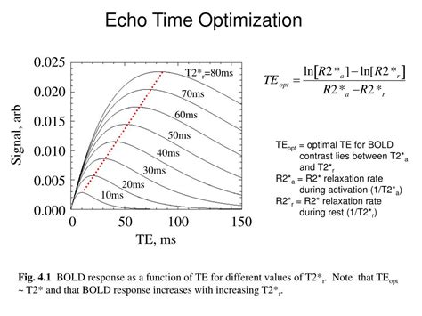 PPT Statistical Parametric Mapping PowerPoint Presentation Free Download ID