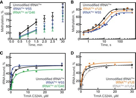 Trna Elbow Modifications Affect The Trna Pseudouridine Synthase Trub And The Methyltransferase Trma