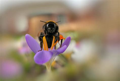 Foto Van De Dag 1396 Is Van Erik Van Asten Valkenswaard24
