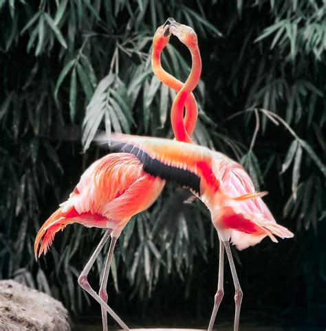 Codependency And Relationships How To Set Healthy Boundaries Lisa Eaton Therapy