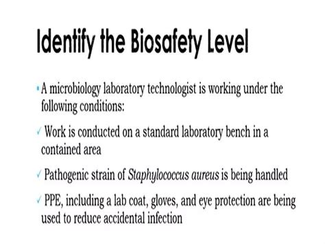 Biosafety Level 1 Pptx
