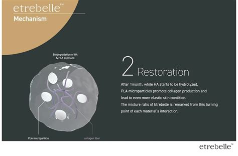 Etrebelle 200 Buy Etrebelle 200mg Online To The Beauty