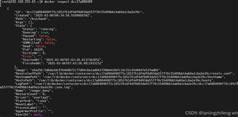 三、docker常用命令 Csdn博客
