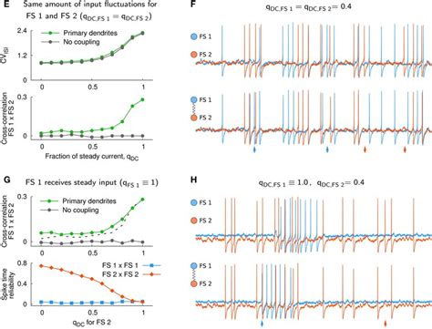 Synchronization Of Suprathreshold Spiking Activity In The Neuron Download Scientific Diagram