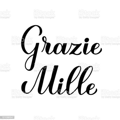 흰색 배경에 고립 된 이탈리아어로 매우 서예 손 글자를 주셔서 감사합니다 웨딩 을위한 벡터 템플릿 은 카드 태그 배너 포스터 라벨 스티커 등을 감사합니다 0명에 대한 스톡