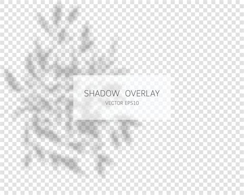 Shadow Overlay Effect Natural Shadows Isolated 2156578 Vector Art At Vecteezy