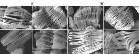 Sem Micrograph Of Exfoliated Mxene I Ti3c2 With A Lif Bnaf C