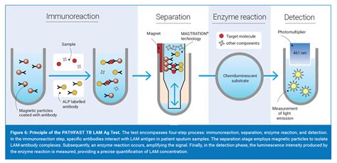 Tb Lam Ag Pathfast™ Phc Europe
