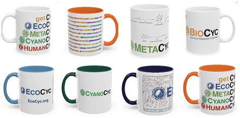 Biocyc Pathwaygenome Database Collection