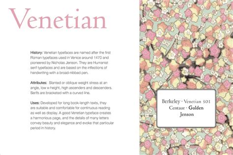 Typeface Classification Flash Cards Hope Edwards Design