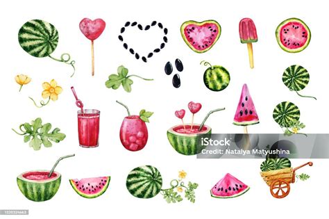 수박 씨앗 음료 아이스크림과 요소의 여름 세트 흰색 배경에 고립 된 손으로 그린 수채화 그림 0명에 대한 스톡 벡터 아트 및 기타 이미지 Istock