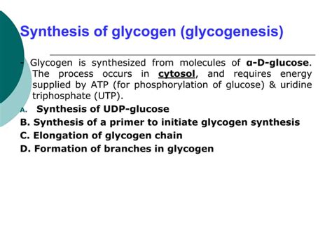 Glycogen Synthesis Ppt