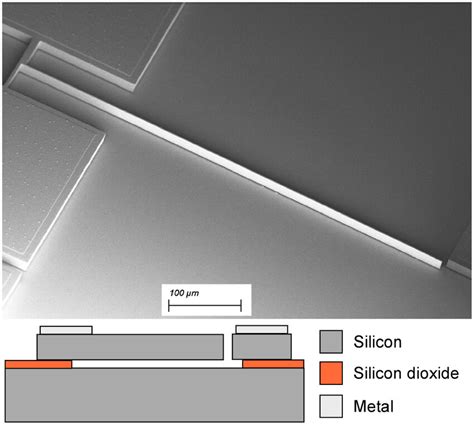 Sem Image And Schematic Of Device Cross Section Of The Mems Resonator Download Scientific Diagram