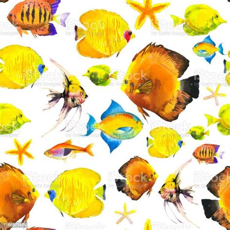 열대 어류와 원활한 패턴 흰색 배경에 손으로 그린 수족관 이국적인 물고기와 수채화 그림 개체 그룹에 대한 스톡 벡터 아트 및 기타 이미지 개체 그룹 다중 색상 대형
