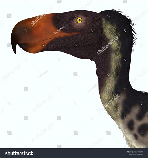 Kelenken Bird Head 3d Illustration Kelenken Stock Illustration