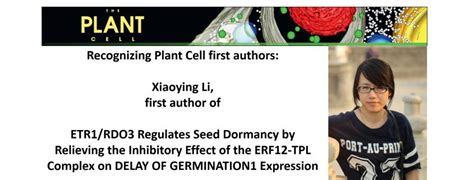 Recognizing Plant Cell First Author Xiaoying Li Plantae