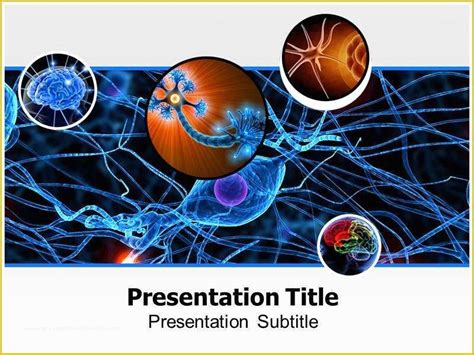 Free Neurology Powerpoint Templates Of Neurology Powerpoint Templates And Backgrounds