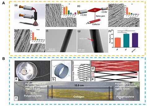 浙大王征科课题组《acs Biomater Sci Eng 》综述：用于组织工程的胶原基生物材料 中国聚合物网科教新闻
