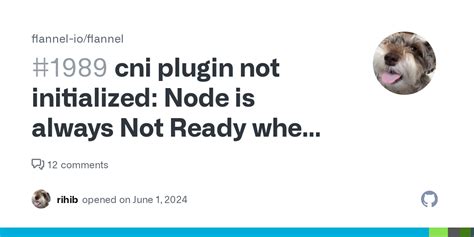 Cni Plugin Not Initialized Node Is Always Not Ready When Creating K8s