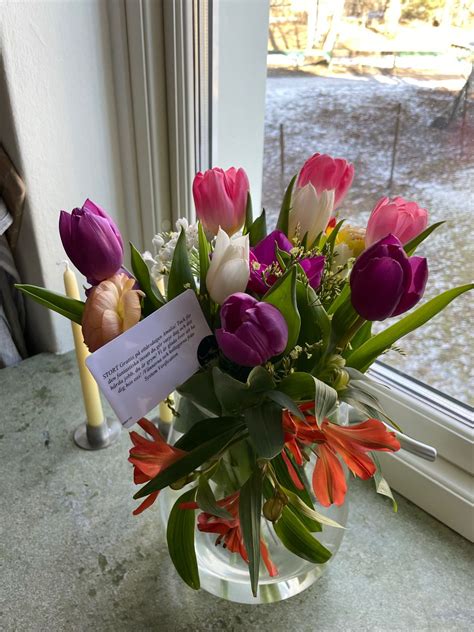 Amalia Borell On Linkedin One Year At System Verification Has Passed