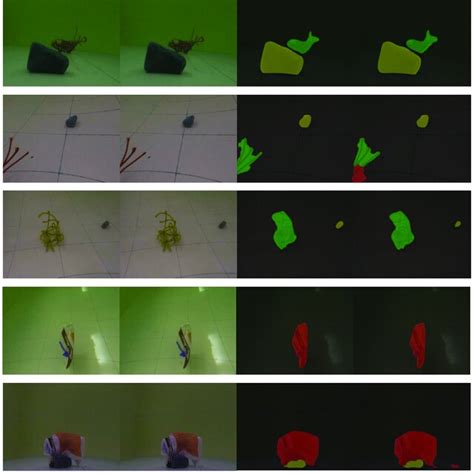 Segmentation Results Of Binocular Camera Download Scientific Diagram