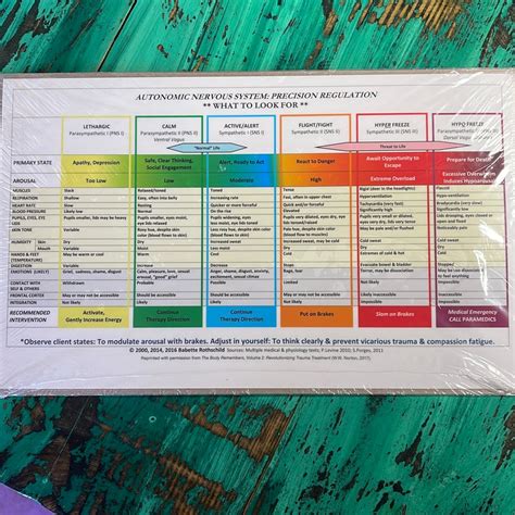 Autonomic Nervous System Precision Regulation Chart 100 Genuine