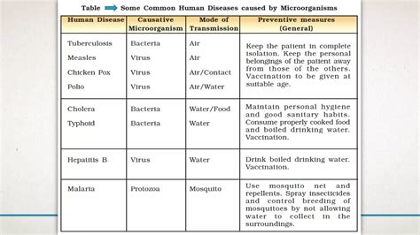 Microorganisms Class 8 Pdf