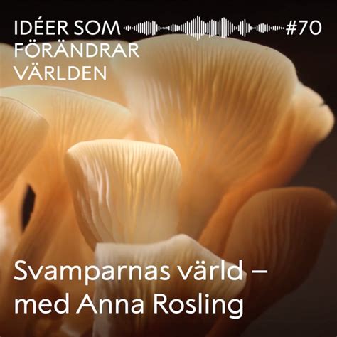 70 Svamparnas Värld Med Anna Rosling Nobel Prize Museum