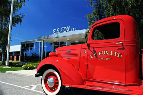 Es Fox Limited Linkedin