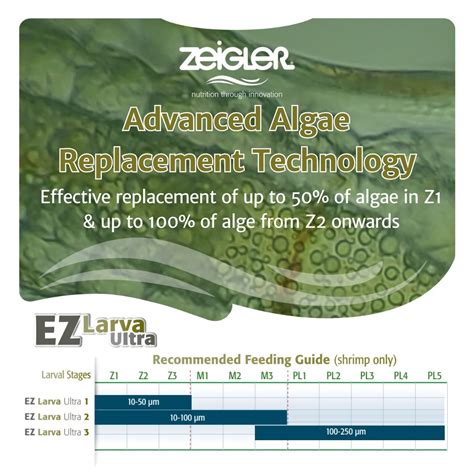 Zeigler 🌱 Transform Shrimp Hatchery Success With Zeiglers Advanced Algae Replacement