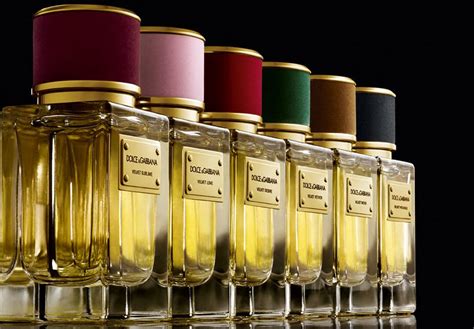 Dolce And Gabbana Velvet Collection