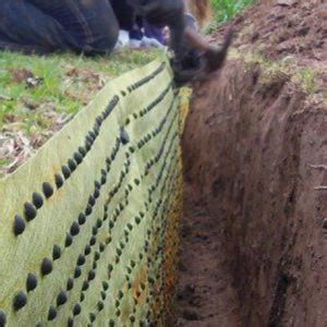 Tree Root Protection Boddingtons Online