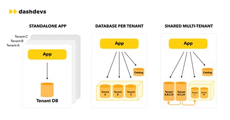 How To Develop A Multi Tenant Architecture Dashdevs